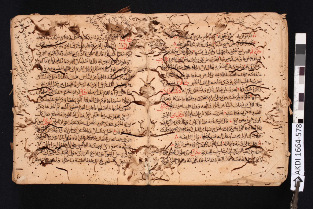 External Programs – Manuscript Migration Lab